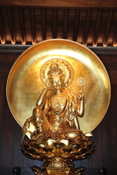 Shenism 影像 – 瀏覽 202 個素材庫相片、向量圖和影片 | Adobe Stock