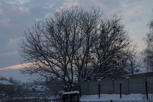 รูปภาพSnowbanks – เลือกดูภาพถ่ายสต็อก เวกเตอร์ และวิดีโอ19,804 | Adobe ...