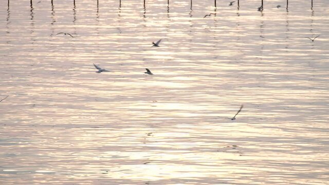 รูปภาพBangpoo – เลือกดูภาพถ่ายสต็อก เวกเตอร์ และวิดีโอ1,663 | Adobe Stock