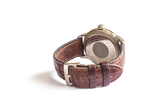 Lederzecke Bilder – Durchsuchen 846 Archivfotos, Vektorgrafiken und ...