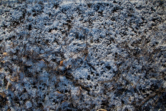 Snowland bilder – Bläddra bland 386 stockfoton, vektorer och videor ...