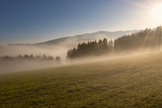 รูปภาพNebelig – เลือกดูภาพถ่ายสต็อก เวกเตอร์ และวิดีโอ14,118 | Adobe Stock