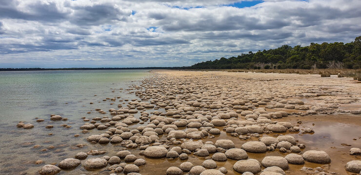 Thrombolite Bilder – Durchsuchen 334 Archivfotos, Vektorgrafiken und ...