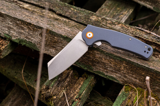 Feitel Bilder – Durchsuchen 11,773 Archivfotos, Vektorgrafiken und ...