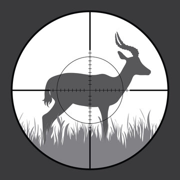 Poacher Images – Browse 21,398 Stock Photos, Vectors, and Video | Adobe ...