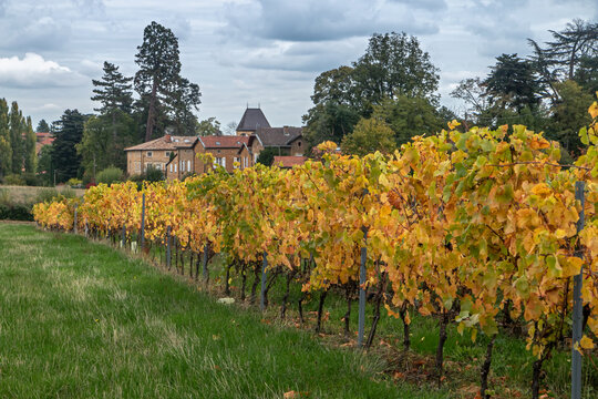 「Charnay」の写真素材 | 35件の無料イラスト画像 | Adobe Stock