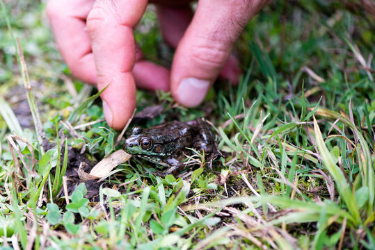 รูปภาพOuaouaron – เลือกดูภาพถ่ายสต็อก เวกเตอร์ และวิดีโอ79 | Adobe Stock