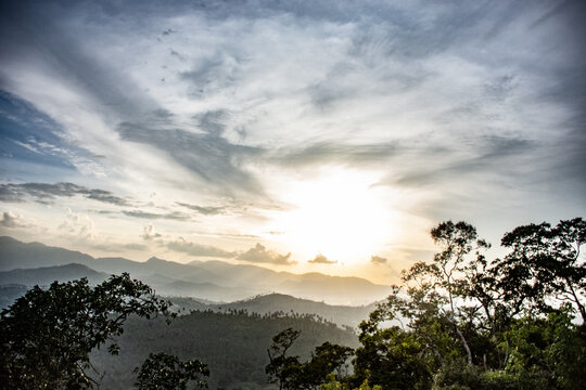 Teldeniya Images – Browse 34 Stock Photos, Vectors, and Video | Adobe Stock