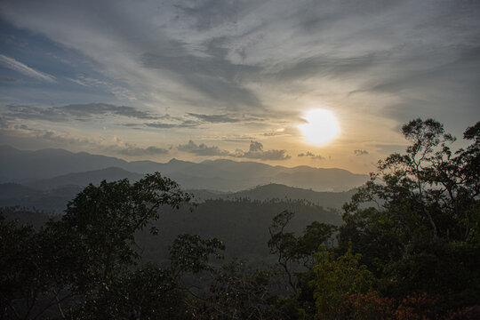 Teldeniya Images – Browse 35 Stock Photos, Vectors, and Video | Adobe Stock