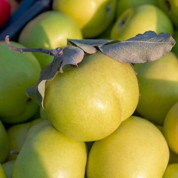 รูปภาพAntonovka – เลือกดูภาพถ่ายสต็อก เวกเตอร์ และวิดีโอ330 | Adobe Stock