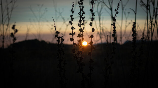 Hopeness Images – Browse 51 Stock Photos, Vectors, and Video | Adobe Stock