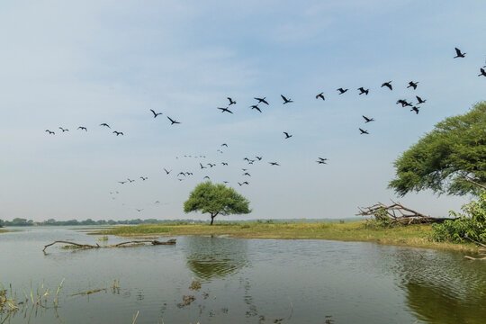 Kandarp photos, images, assets | Adobe Stock