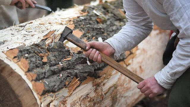 รูปภาพDebarking – เลือกดูภาพถ่ายสต็อก เวกเตอร์ และวิดีโอ10,534 | Adobe ...