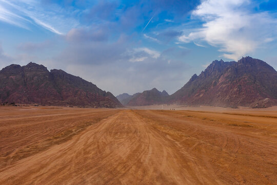 "El-Bilder: Stock-Fotos & -Videos. | Adobe Stock