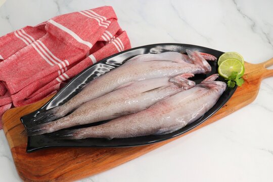 Bummalo bilder – Bläddra bland 147 stockfoton, vektorer och videor ...