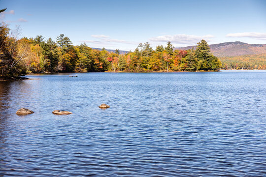 Stoneham Images – Browse 566 Stock Photos, Vectors, and Video | Adobe Stock