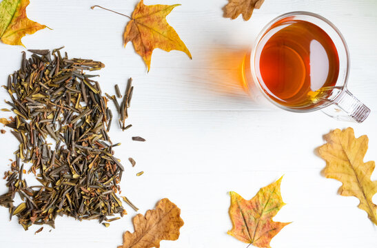 Adamsia Images – Browse 36 Stock Photos, Vectors, and Video | Adobe Stock