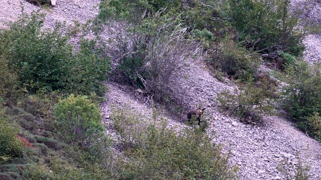 Afbeeldingen over "Stony Ground" – Blader in stockfoto's, vectoren en ...