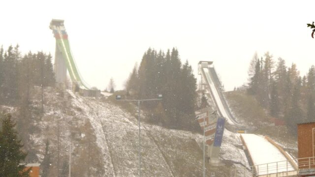 Springboard Images – Browse 8,935 Stock Photos, Vectors, and Video ...