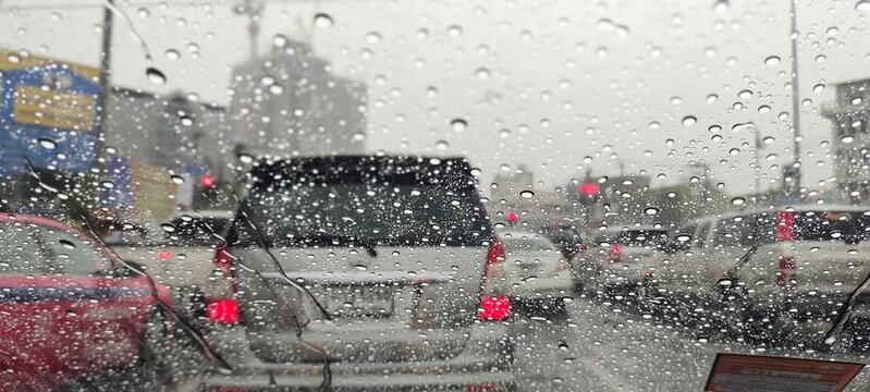 รูปภาพRainny – เลือกดูภาพถ่ายสต็อก เวกเตอร์ และวิดีโอ1,699 | Adobe Stock