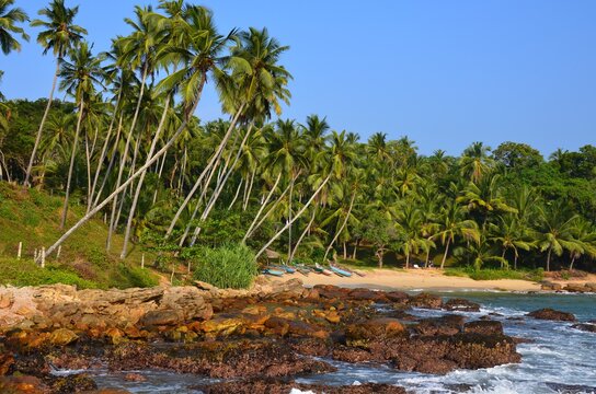 Tangalle Bilder – Durchsuchen 1,784 Archivfotos, Vektorgrafiken und ...