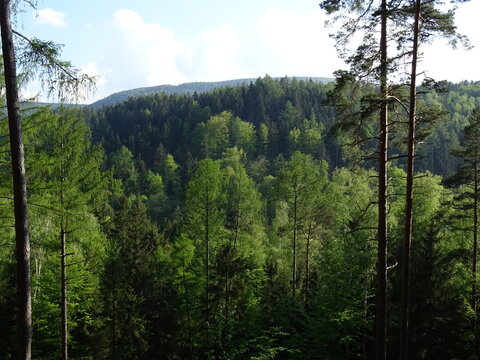 "Las Iglasty" Bilder – Durchsuchen 242 Archivfotos, Vektorgrafiken und ...