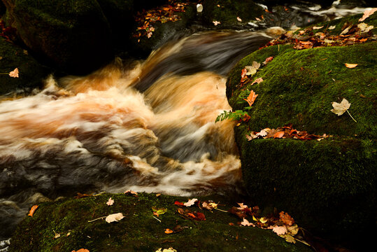 Burbage Images – Browse 326 Stock Photos, Vectors, and Video | Adobe Stock