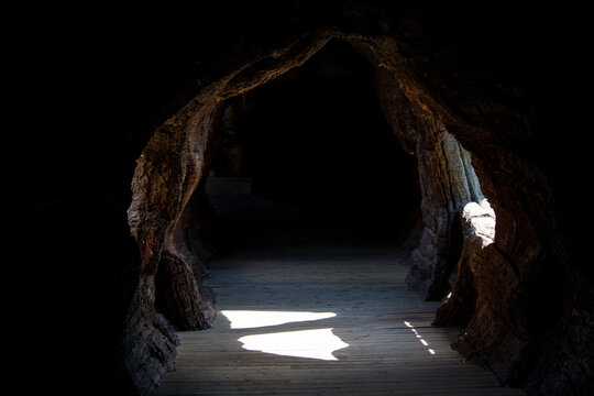 Dark Lair Bilder – Durchsuchen 1,835 Archivfotos, Vektorgrafiken und ...