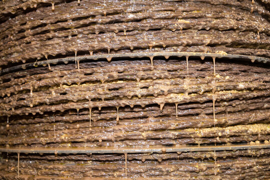 รูปภาพDeleafer – เลือกดูภาพถ่ายสต็อก เวกเตอร์ และวิดีโอ169 | Adobe Stock