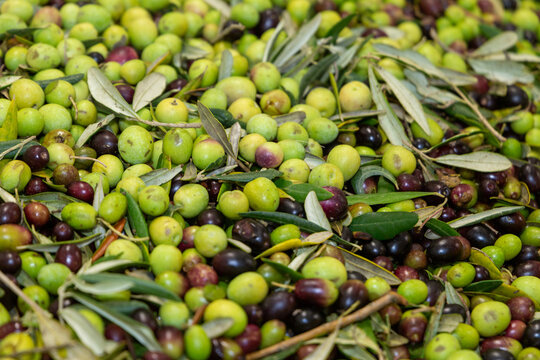 รูปภาพDeleafer – เลือกดูภาพถ่ายสต็อก เวกเตอร์ และวิดีโอ169 | Adobe Stock