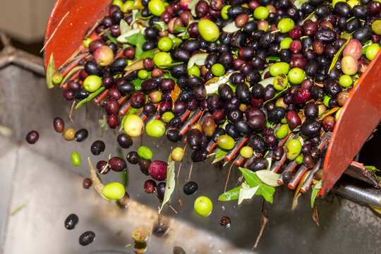 รูปภาพDeleafer – เลือกดูภาพถ่ายสต็อก เวกเตอร์ และวิดีโอ169 | Adobe Stock