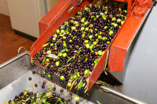 Deleafer Bilder – Durchsuchen 169 Archivfotos, Vektorgrafiken und ...