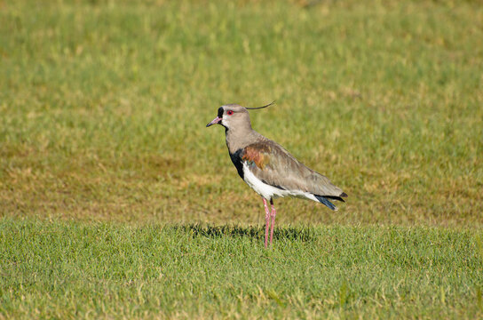 Tero Images – Browse 718 Stock Photos, Vectors, and Video | Adobe Stock