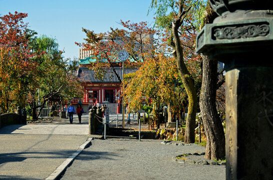 รูปภาพCatamite – เลือกดูภาพถ่ายสต็อก เวกเตอร์ และวิดีโอ1,098 | Adobe Stock