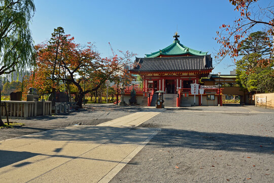 Catamite Bilder – Durchsuchen 1,098 Archivfotos, Vektorgrafiken und ...