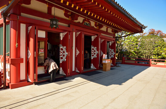 รูปภาพCatamite – เลือกดูภาพถ่ายสต็อก เวกเตอร์ และวิดีโอ1,098 | Adobe Stock