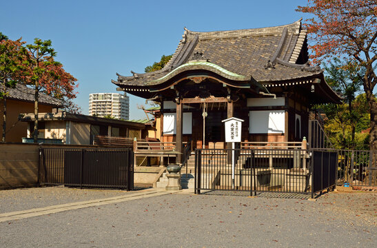 รูปภาพCatamite – เลือกดูภาพถ่ายสต็อก เวกเตอร์ และวิดีโอ1,098 | Adobe Stock