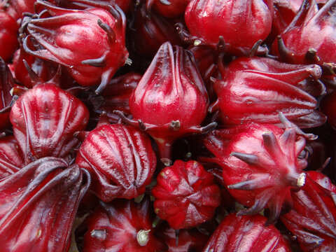 Bissap - Images et vidéos libres de droits | Adobe Stock