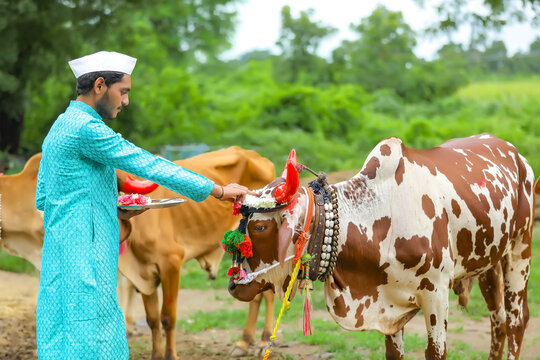 Polaa Bilder – Durchsuchen 118 Archivfotos, Vektorgrafiken und Videos ...