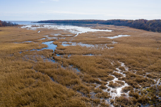 Mire 이미지 – 찾아보기 82,052 스톡 사진, 벡터 및 비디오 | Adobe Stock