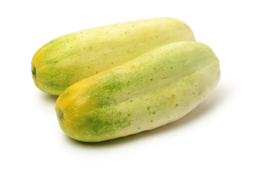 「キュウリ」の画像 - 1,111,396 件の Stock 写真、ベクターおよびビデオ | Adobe Stock