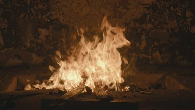 Revival Images – Browse 474,412 Stock Photos, Vectors, and Video ...