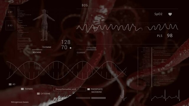 Heart Worm Images – Browse 2,787 Stock Photos, Vectors, and Video ...