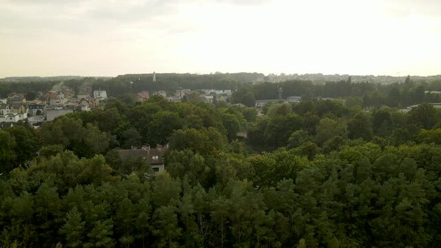 Pomerelia - Images et vidéos libres de droits | Adobe Stock