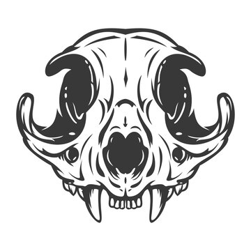 Cat Skull Vector Images – Browse 66,585 Stock Photos, Vectors, and ...