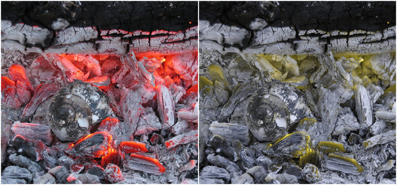 「Dichromacy」の画像 - 88 件の Stock 写真、ベクターおよびビデオ | Adobe Stock