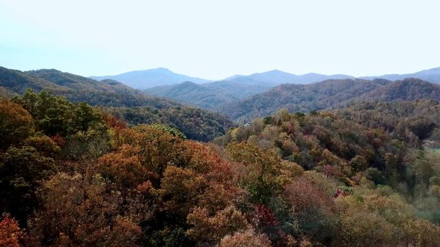 Imagens de Boone – Explore Fotografias do Stock, Vetores e Vídeos de ...