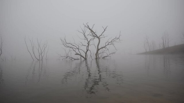 "Dead Calm" Imagens – Procure 196 fotos, vetores e vídeos | Adobe Stock