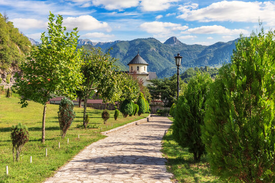 รูปภาพMoracha – เลือกดูภาพถ่ายสต็อก เวกเตอร์ และวิดีโอ184 | Adobe Stock