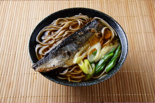 Free Wo Images – Browse 638 Free Stock Photos, Vectors, and Video ...